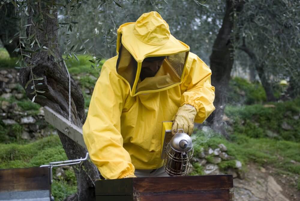 Bee Removal - Sarasota Tent Fumigation & Pest Control