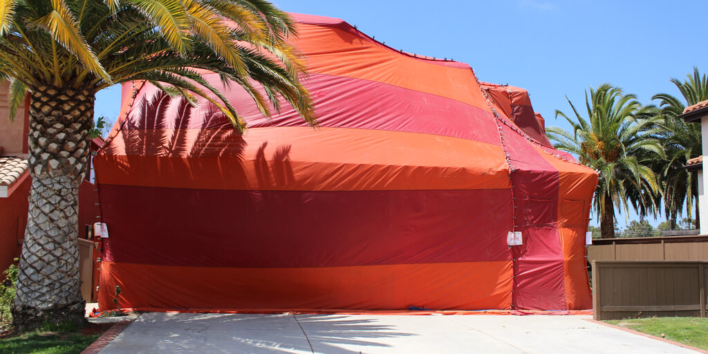 What is Tent Fumigation? See Top Frequently Asked Questions & Answers ...